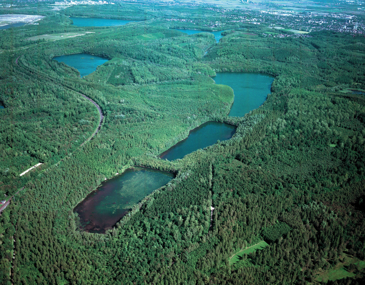 Galerie - Heiderbergsee